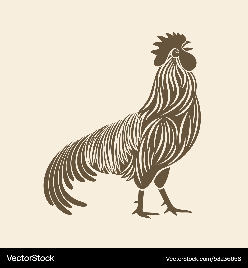 Rooster Royalty Free Vector Image - VectorStock