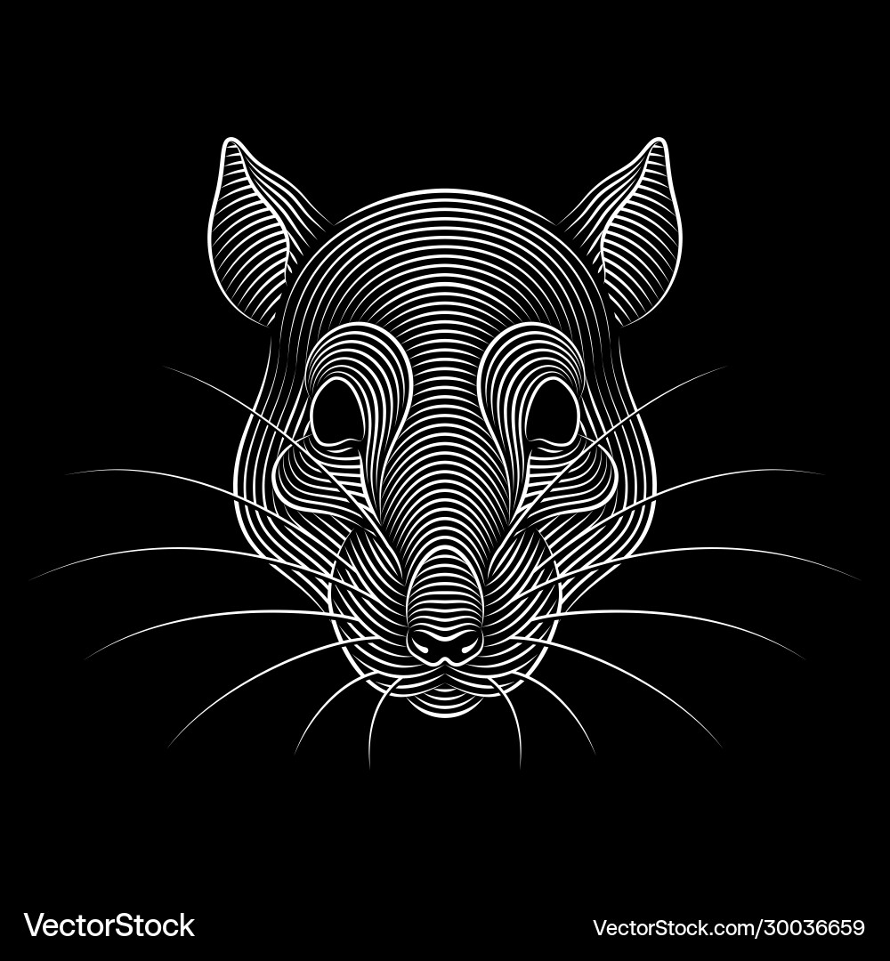 Engraving stylized rat portrait on black Vector Image