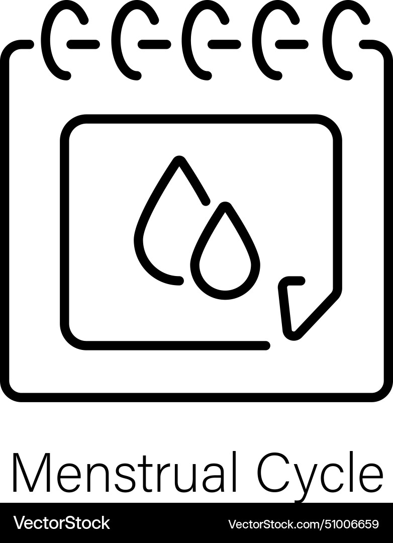 Menstrual cycle Royalty Free Vector Image - VectorStock