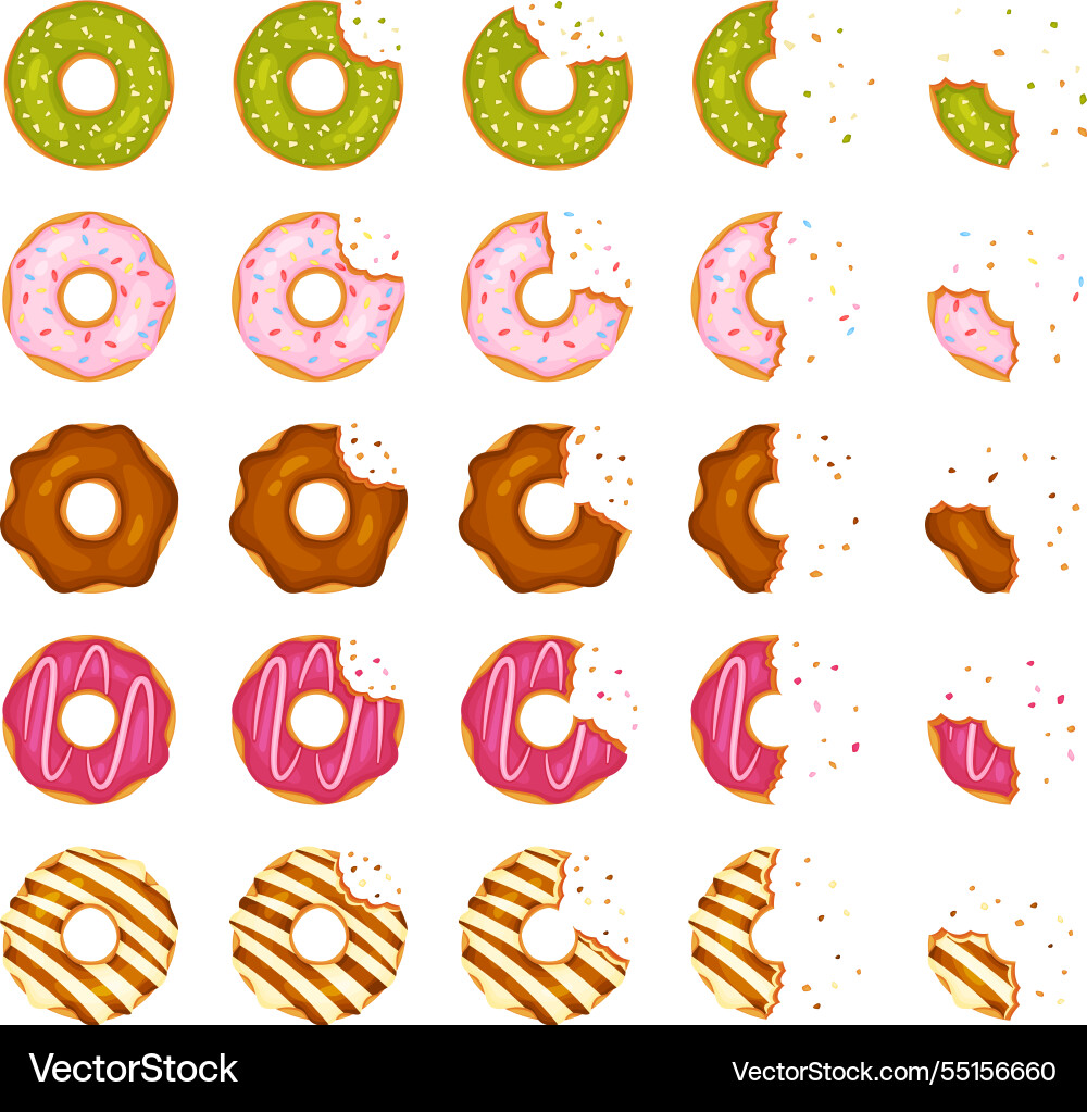 Bitten and half eaten donuts doughnut pieces Vector Image