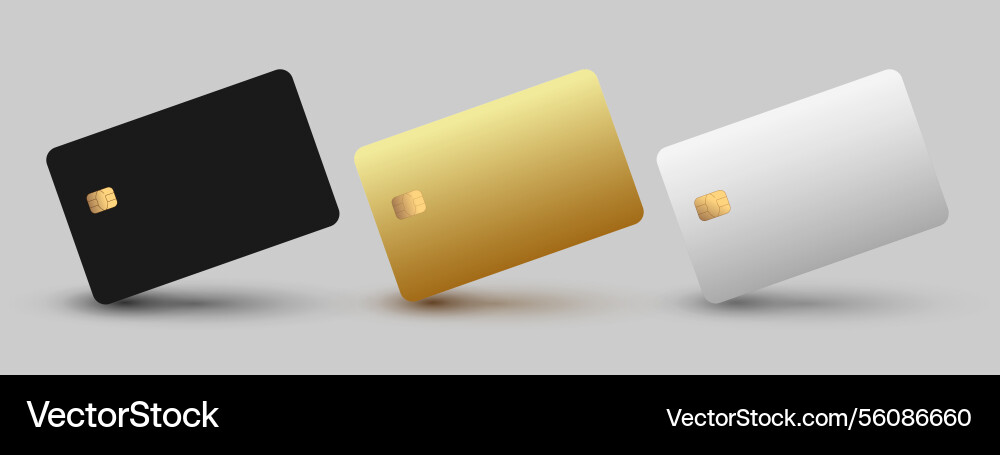 Realistic 3d style blackgoldwhite credit debit Vector Image