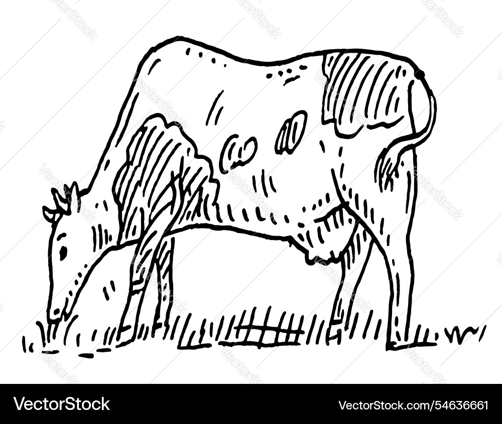 Cow vintage engraving Royalty Free Vector Image