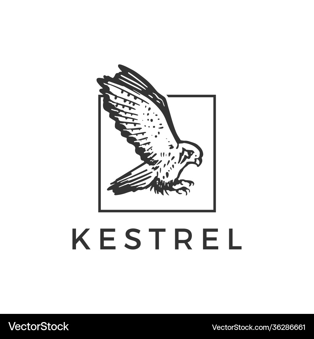 Kestrel Bird Logo - Square Icon Royalty Free Vector Image