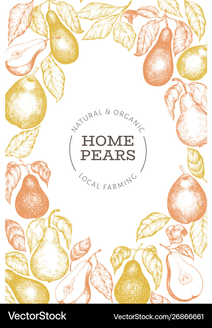 Pear design template hand drawn garden fruit Vector Image