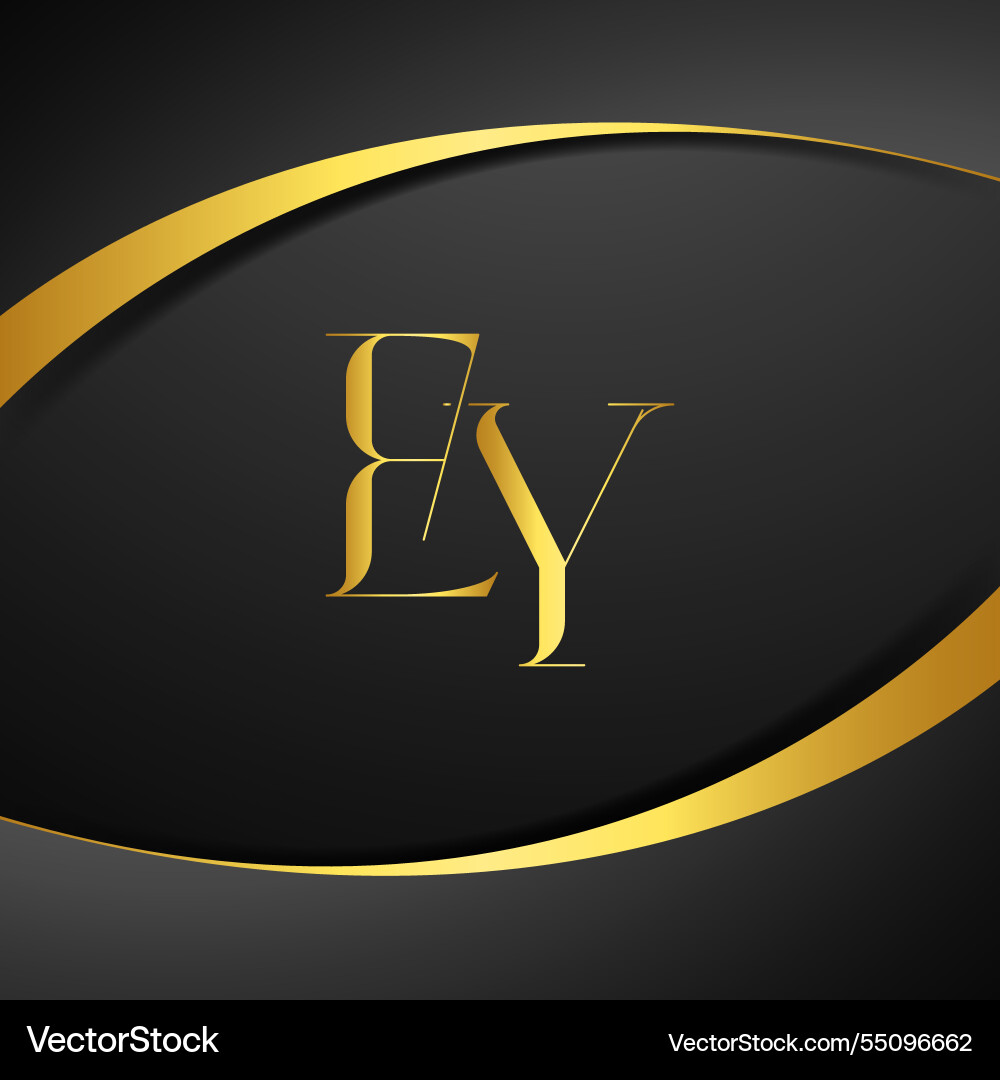 Ey luxury letter logo Royalty Free Vector Image