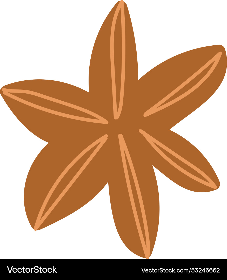 Star anise spice Royalty Free Vector Image - VectorStock