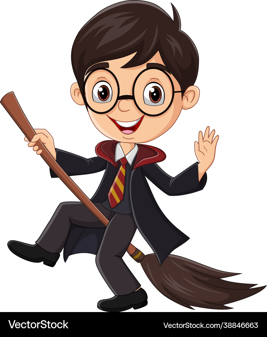 Cartoon wizard boy with a magic broomstick Vector Image