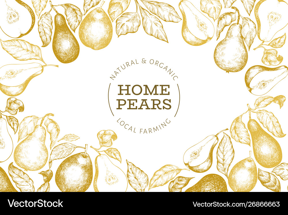 Pear design template hand drawn garden fruit Vector Image