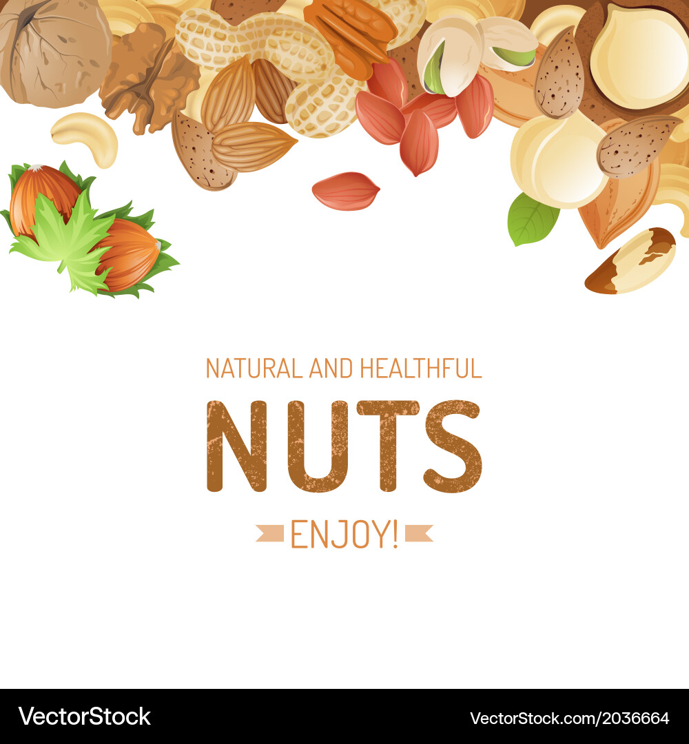 Colorful Nut Variety Background Royalty Free Vector Image