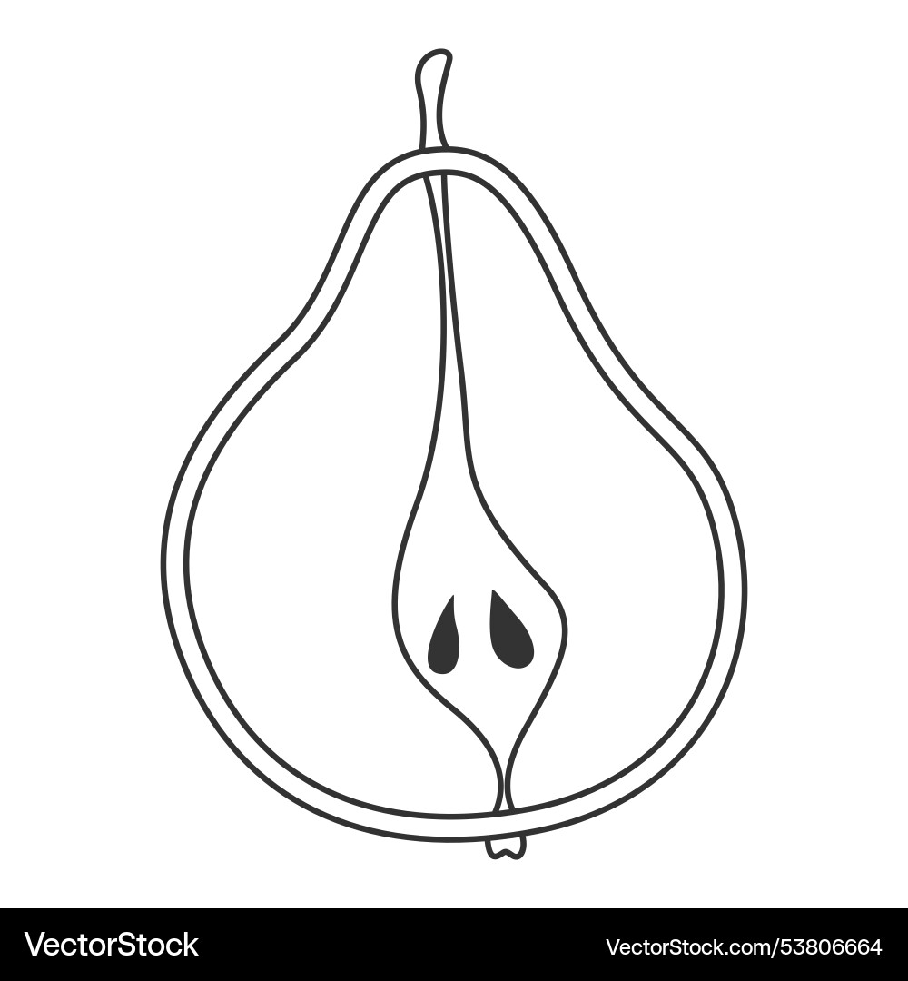 Contour of a half pear simple pear silhouette Vector Image