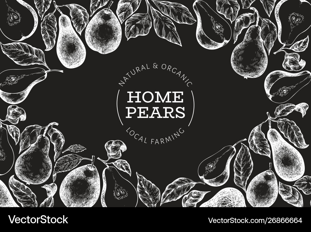 Pear design template hand drawn garden fruit Vector Image
