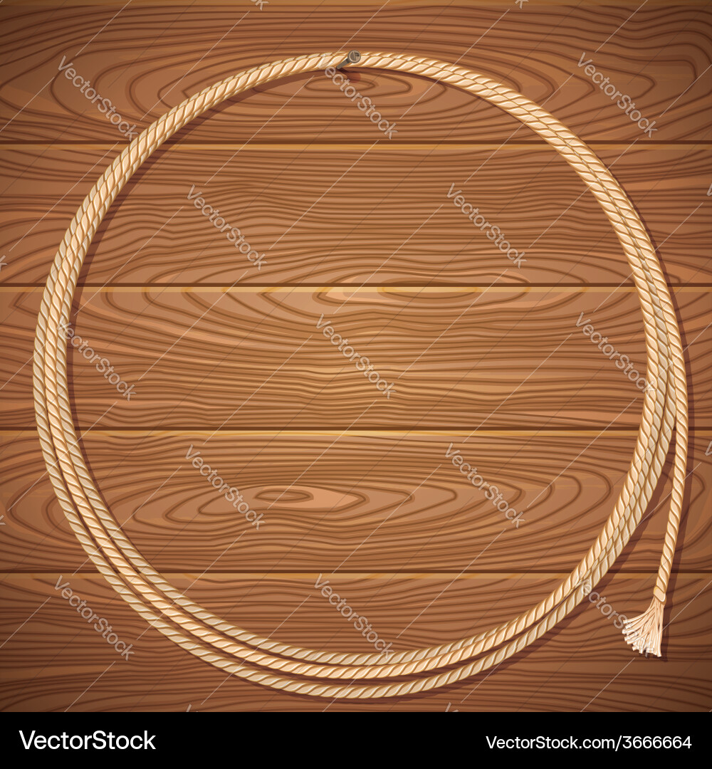 Rope lasso on wood background Royalty Free Vector Image