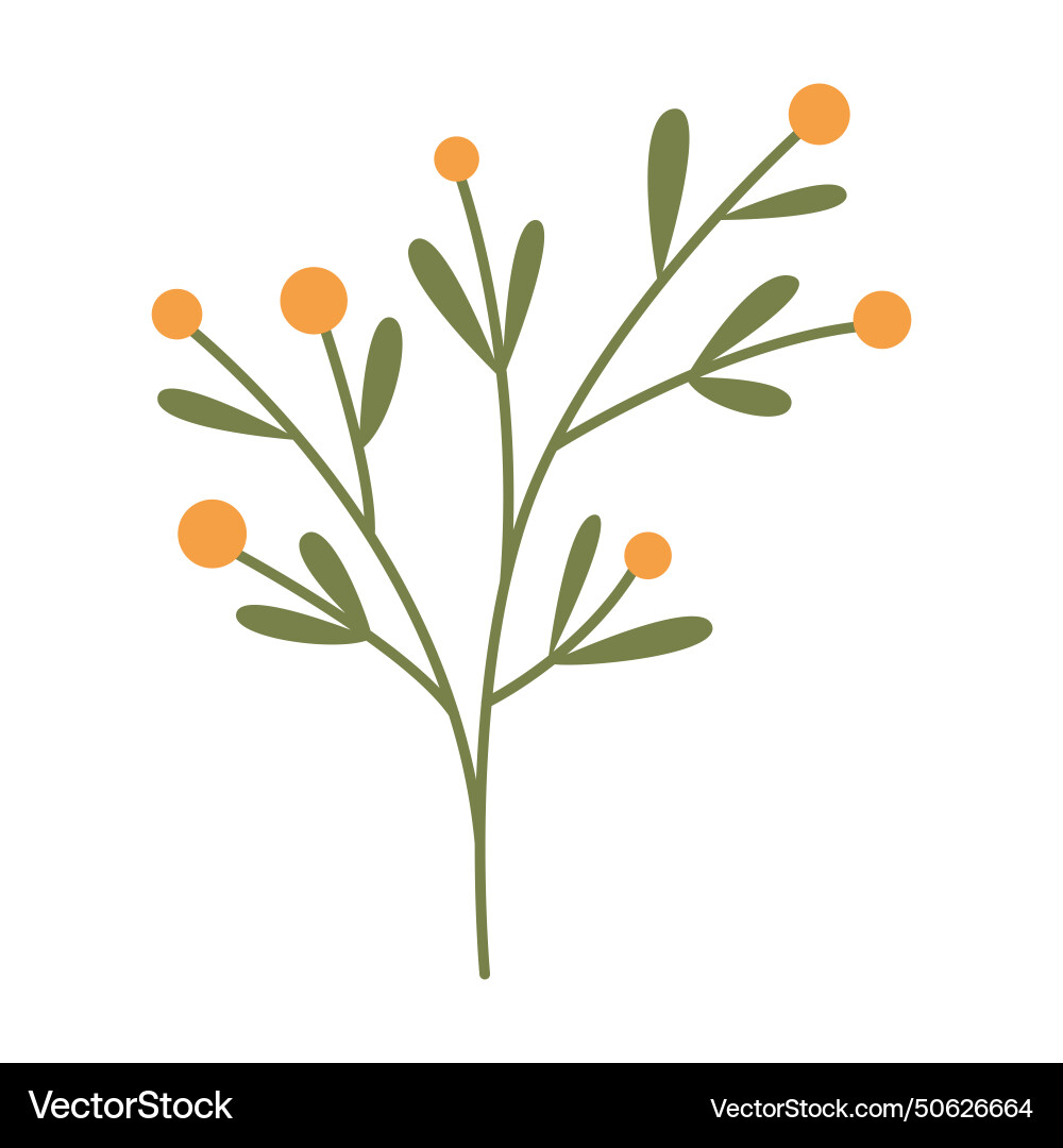 Wild flower Royalty Free Vector Image - VectorStock