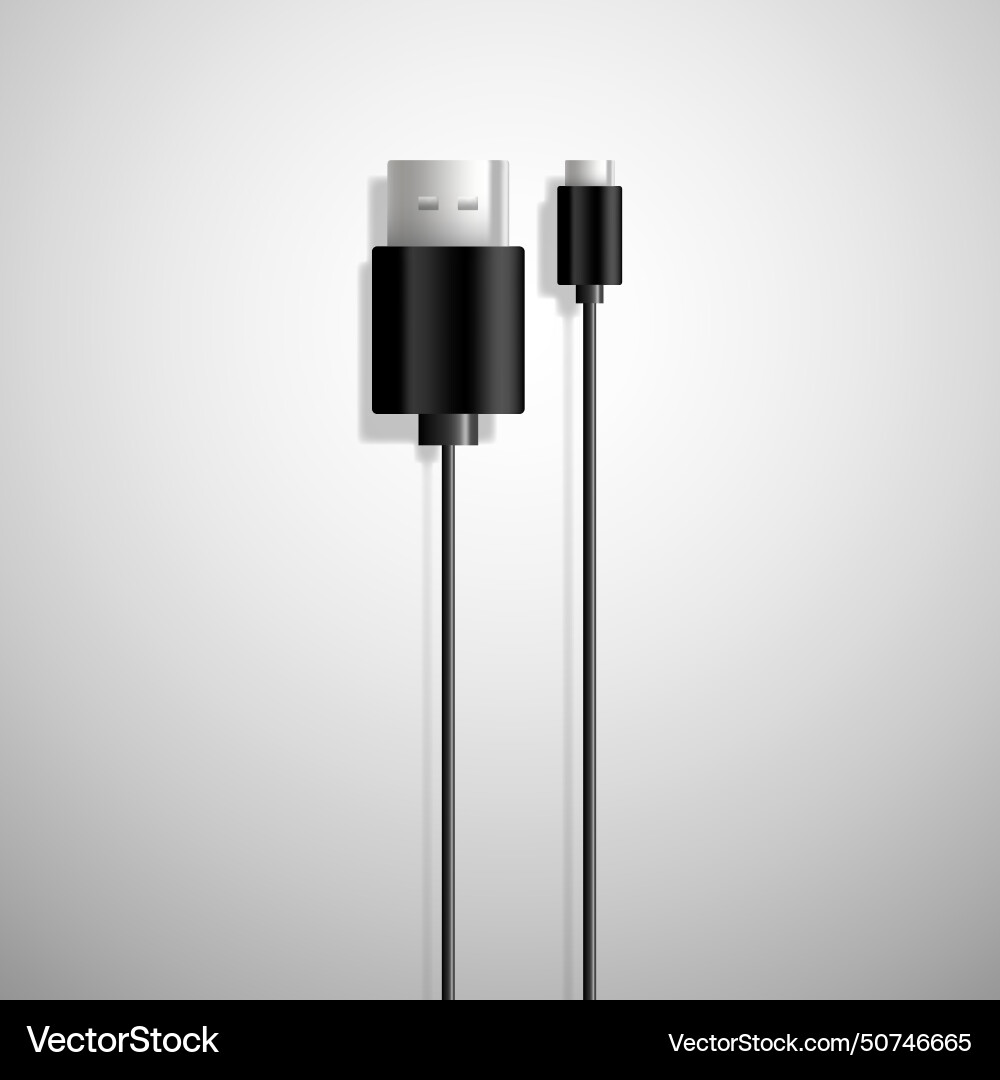 Usb to type c data cable Royalty Free Vector Image