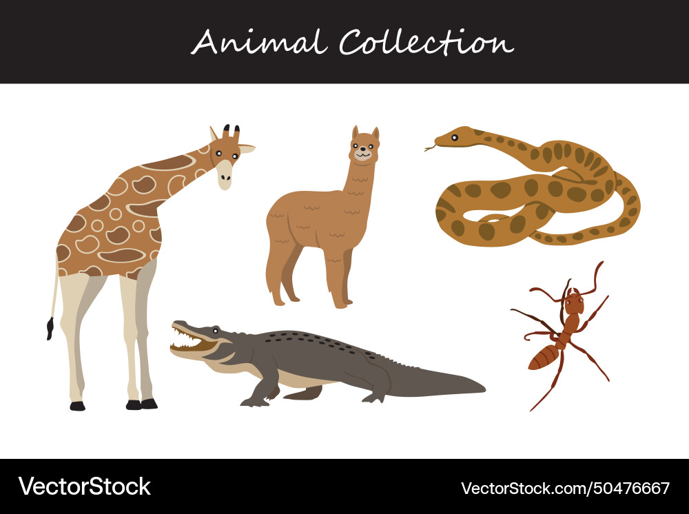 Animal collection cartoon style Royalty Free Vector Image