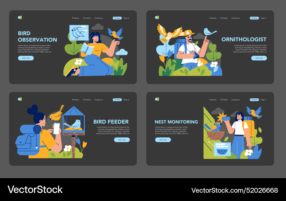 Birdwatching flat Royalty Free Vector Image - VectorStock
