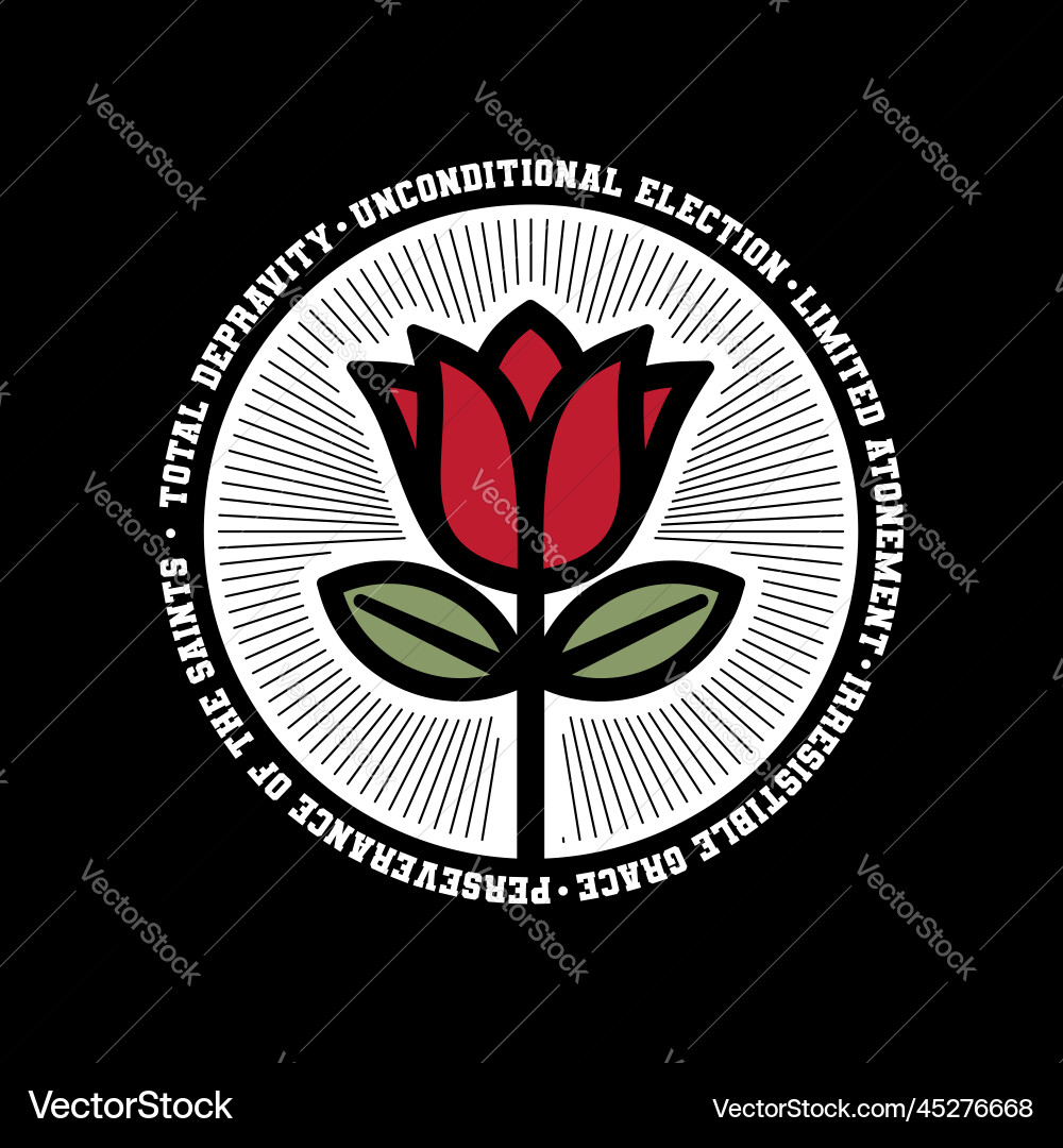 Christian calvins tulip Royalty Free Vector Image