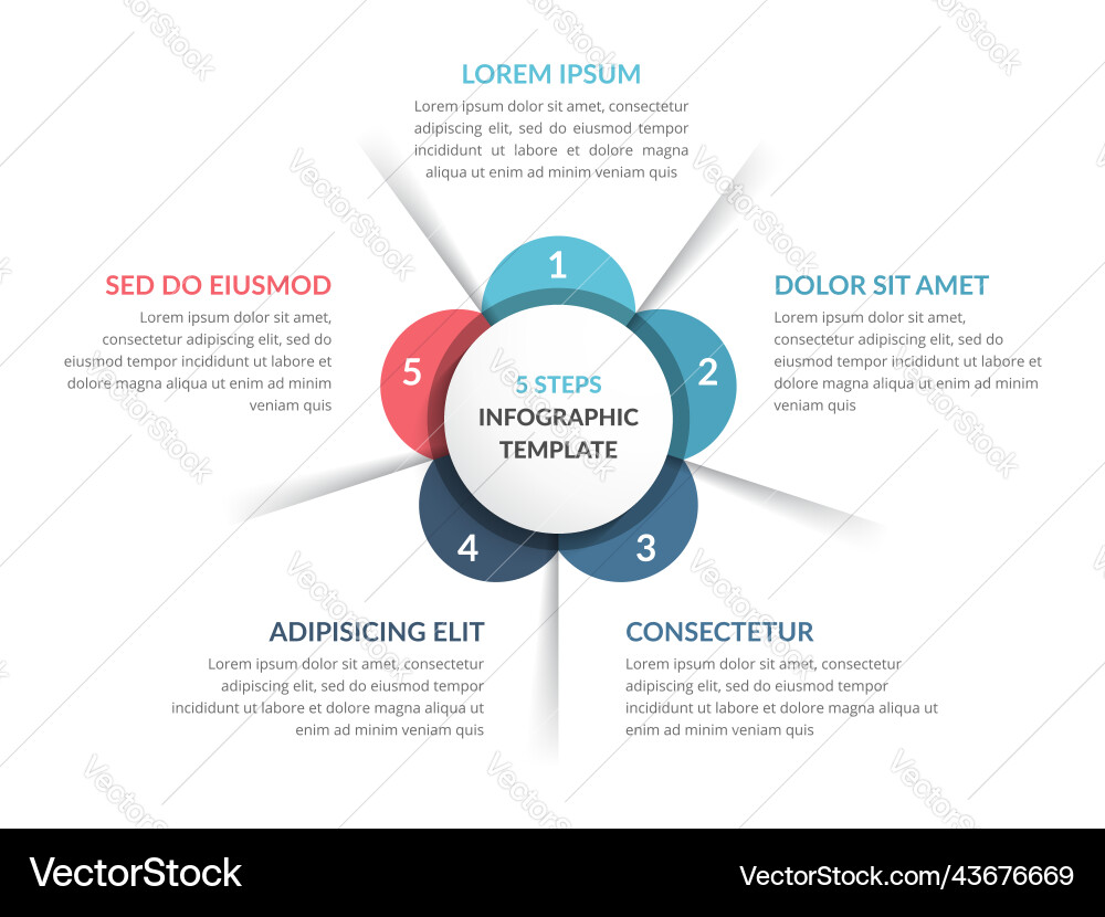 Circle infographics - five elements Royalty Free Vector