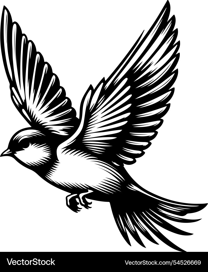 Fliegende Vogelsilhouette Kunst Lizenzfreies Vektorbild