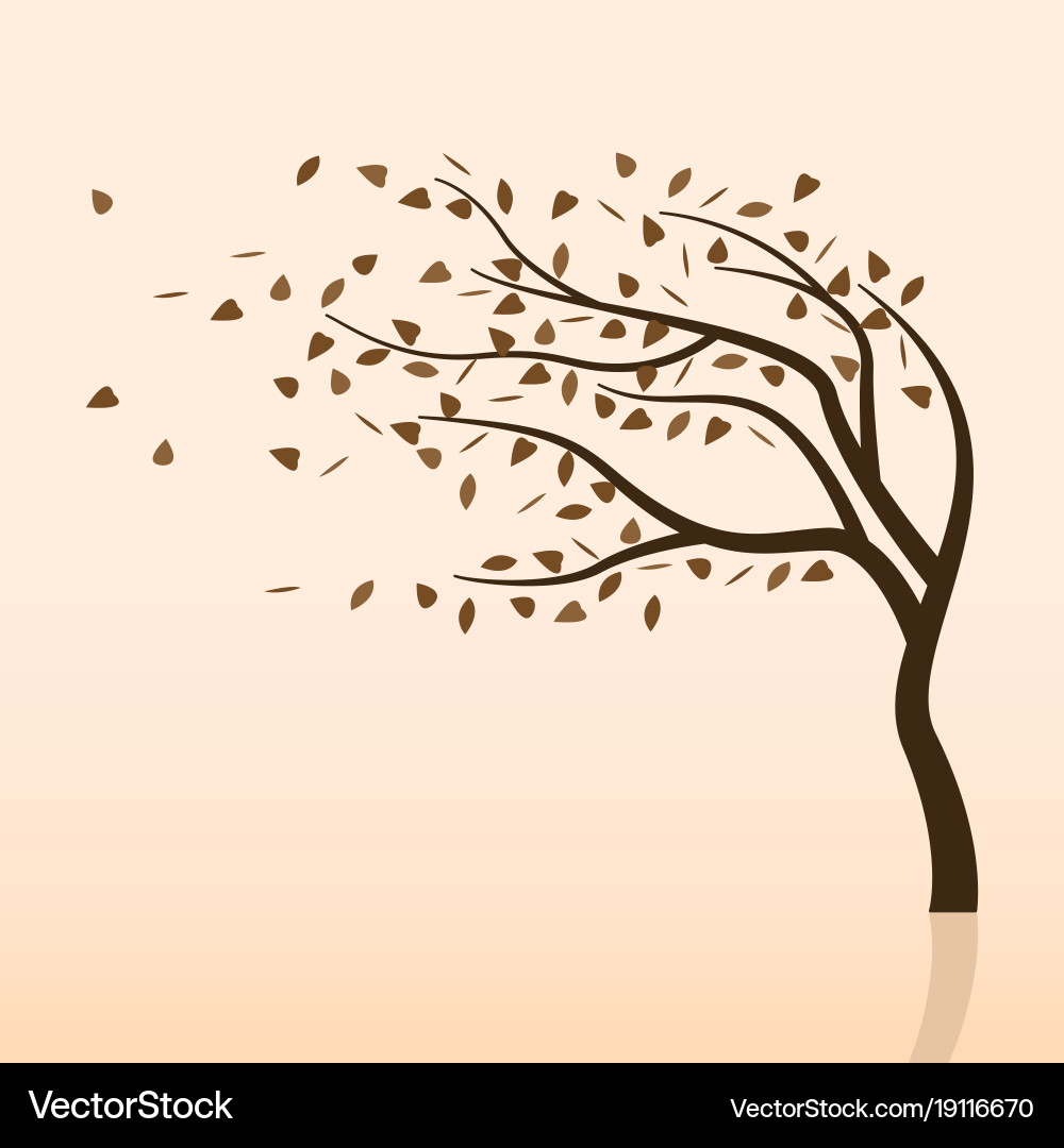 Fall storm and tree Royalty Free Vector Image - VectorStock