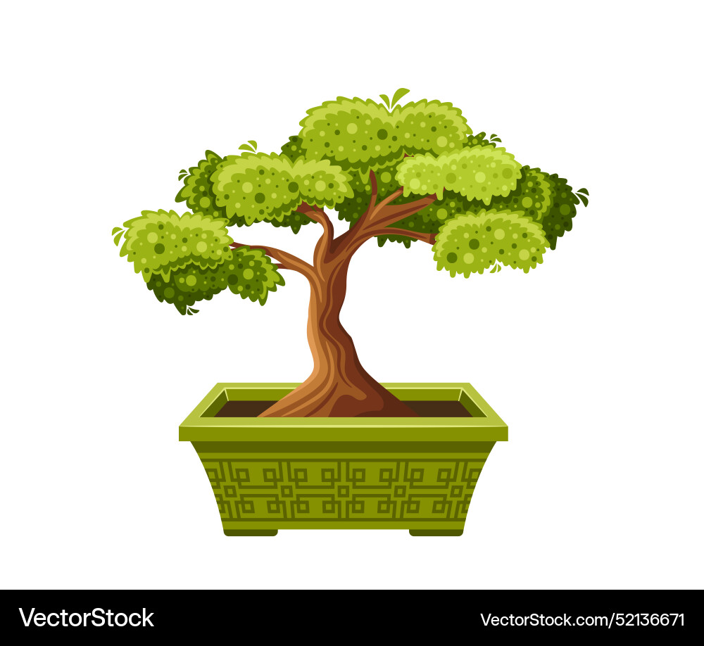 Bonsai tree with lush green leaves Royalty Free Vector Image