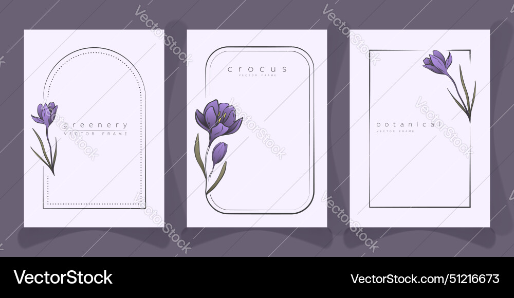 Botanical line art set of crocus flower frames Vector Image