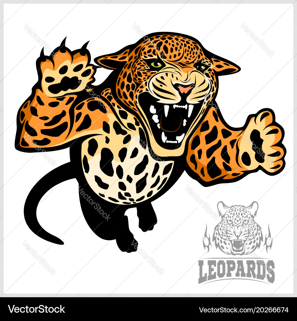 Leopard Portrait Royalty Free Vector Image - VectorStock