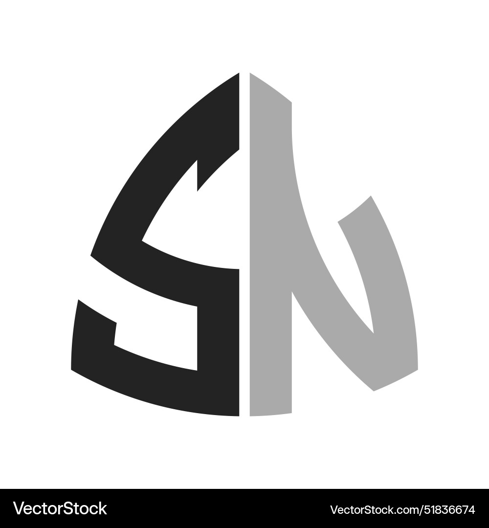 Modern creative sn logo design letter icon Vector Image