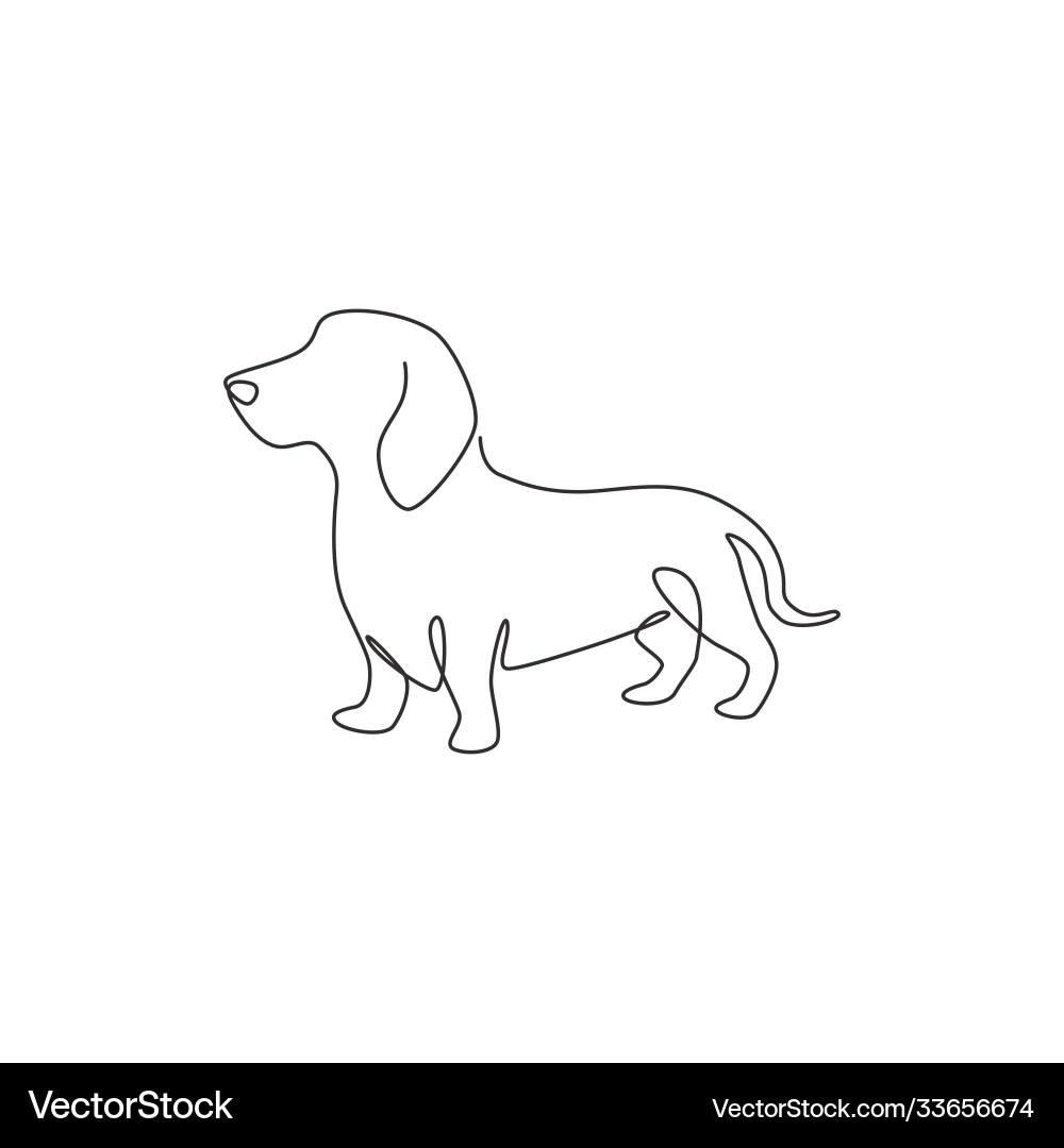 Single continuous line drawing cute dachshund Vector Image