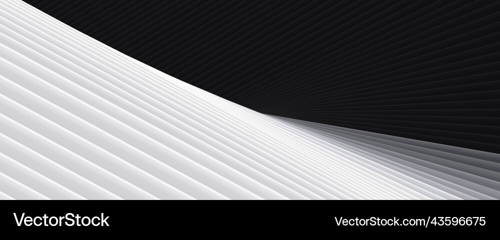 Abstract elegant black and white background Vector Image