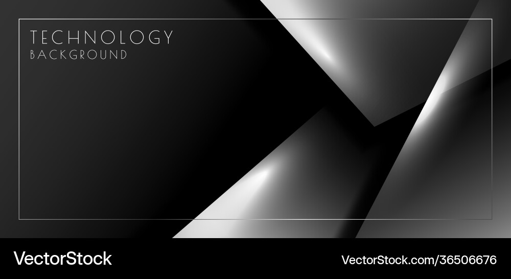 Abstract gradient white and black glossy style Vector Image