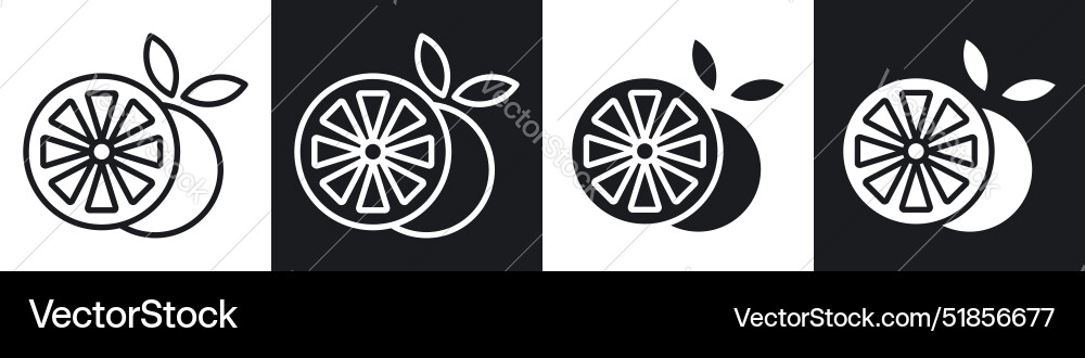 Citrus icon set in black and white filld Vector Image