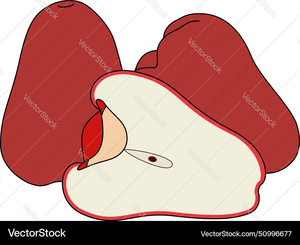 Water apple isolated hand drawn for kids Vector Image