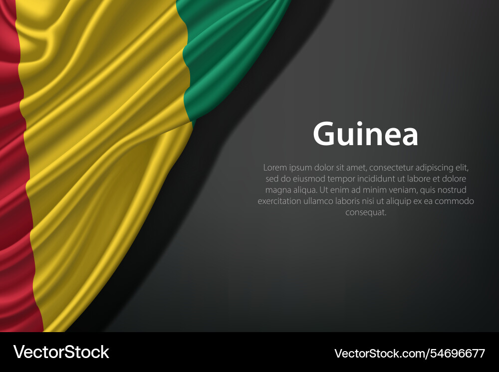 Waving guinea flag on dark background Royalty Free Vector
