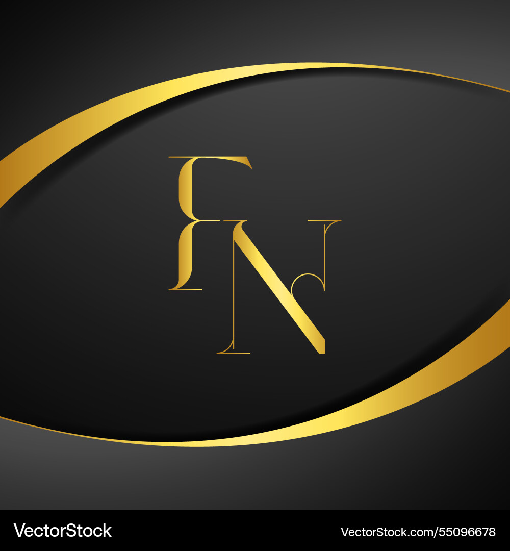 Fn luxury letter logo Royalty Free Vector Image