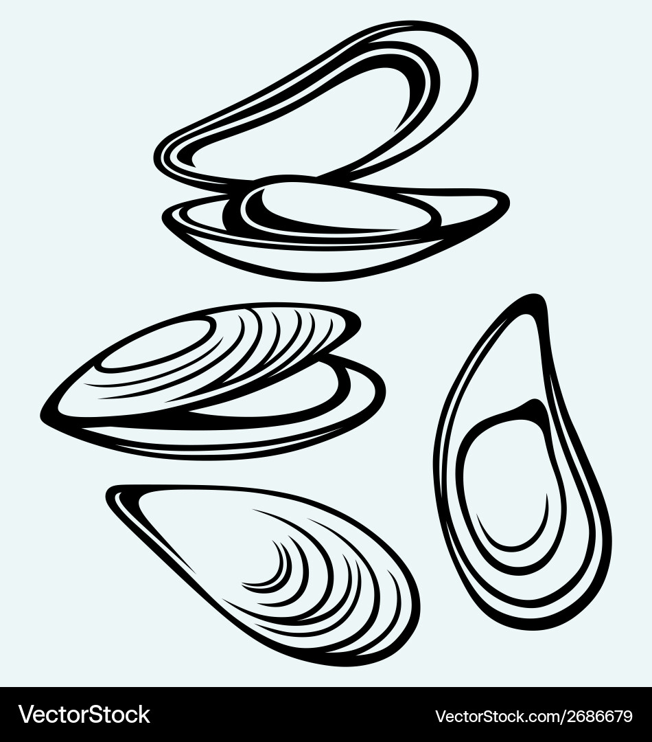 Cooked lipped mussel Royalty Free Vector Image