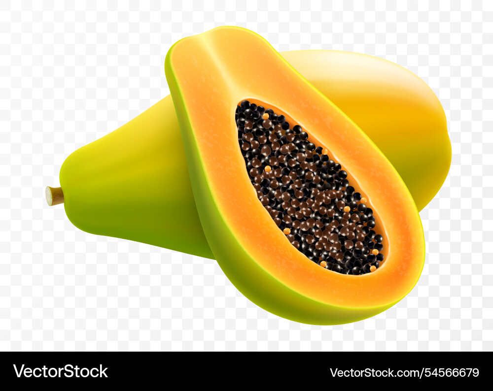 Fresh natural papaya isolated on transparent Vector Image
