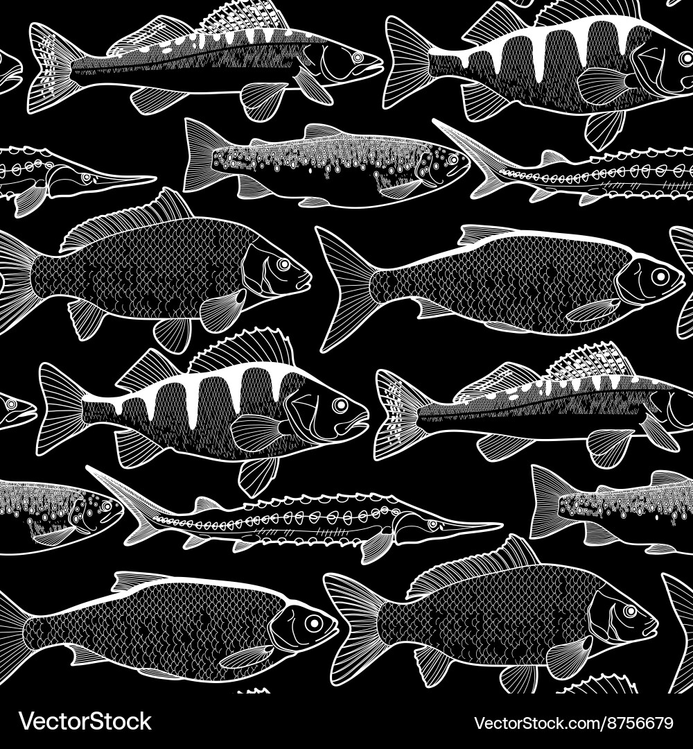 Graphic freshwater fish pattern Royalty Free Vector Image
