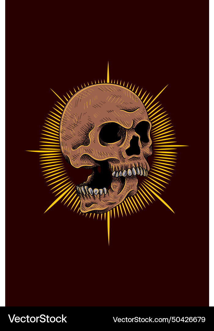 Split head skull Royalty Free Vector Image - VectorStock