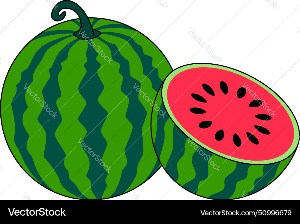 Watermelon isolated hand drawn Royalty Free Vector Image
