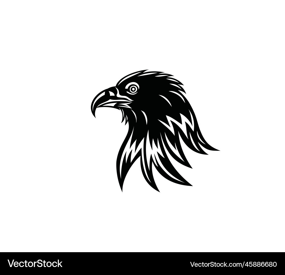 Eagle face logo Royalty Free Vector Image - VectorStock