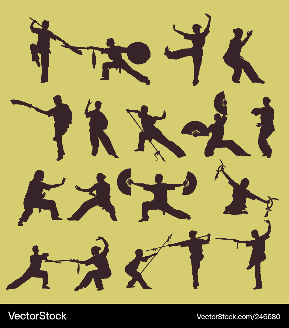 Wushu chinese martial art Royalty Free Vector Image