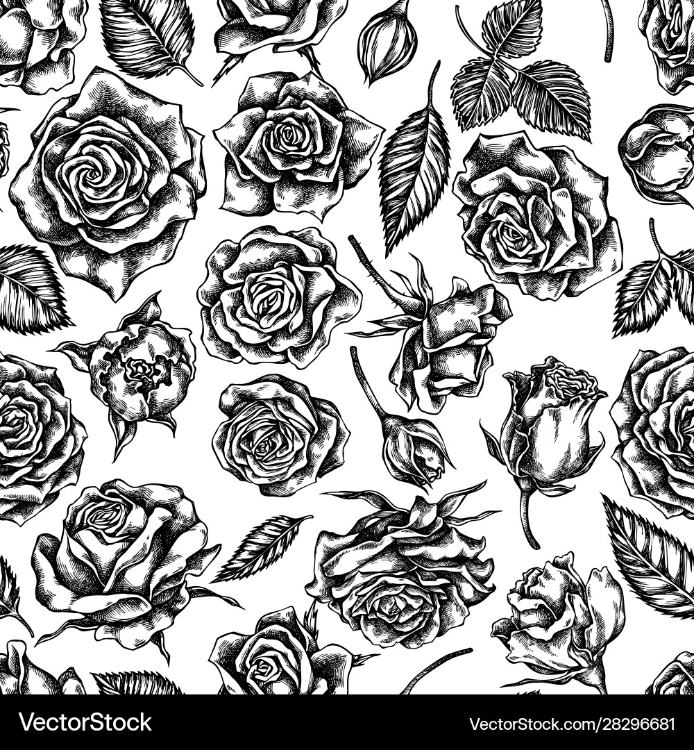 Seamless pattern with black and white roses Vector Image