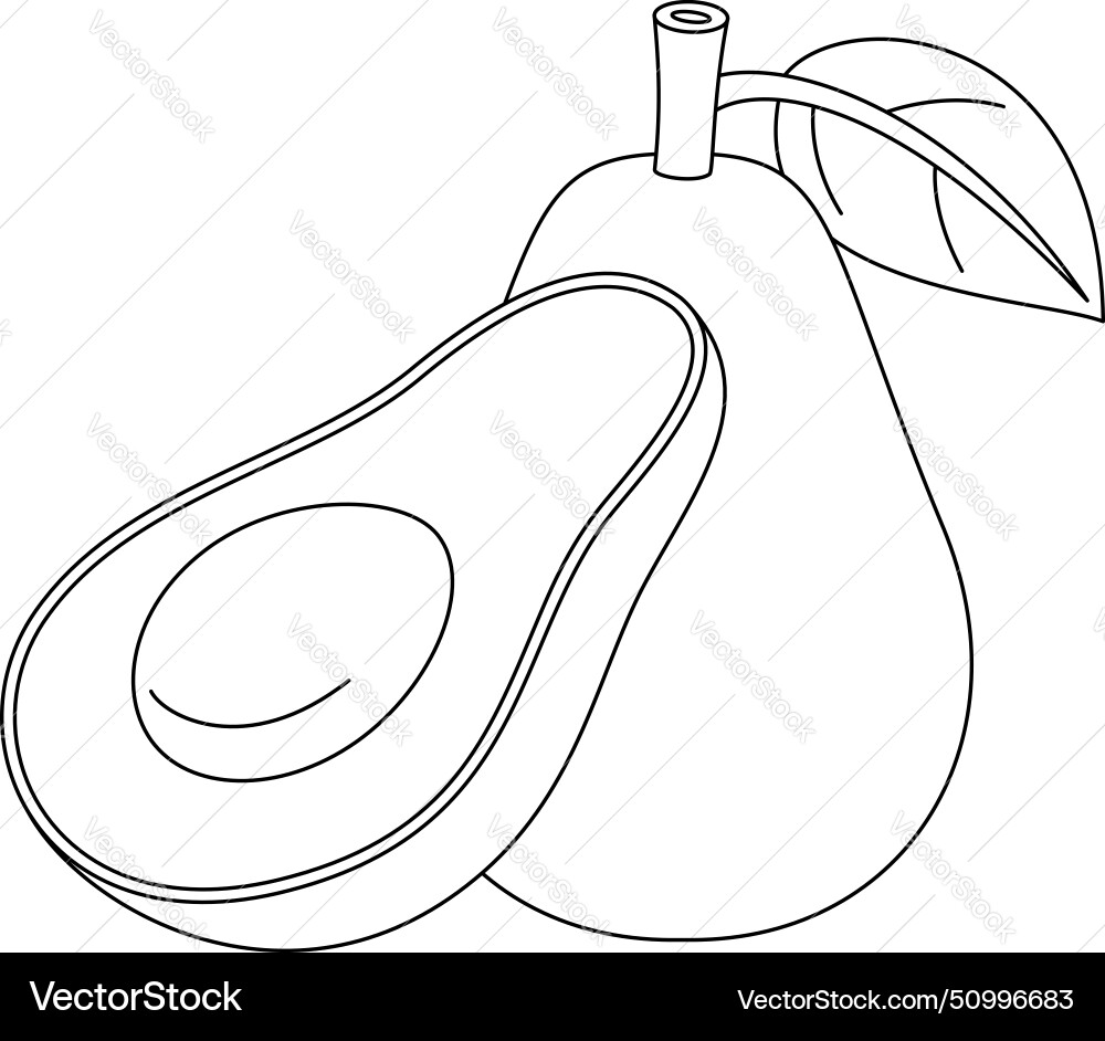 Avocado isolated hand drawn coloring page for kids