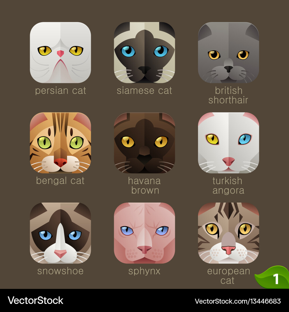 Cat Face App Icons - Diverse Breeds Royalty Free Vector