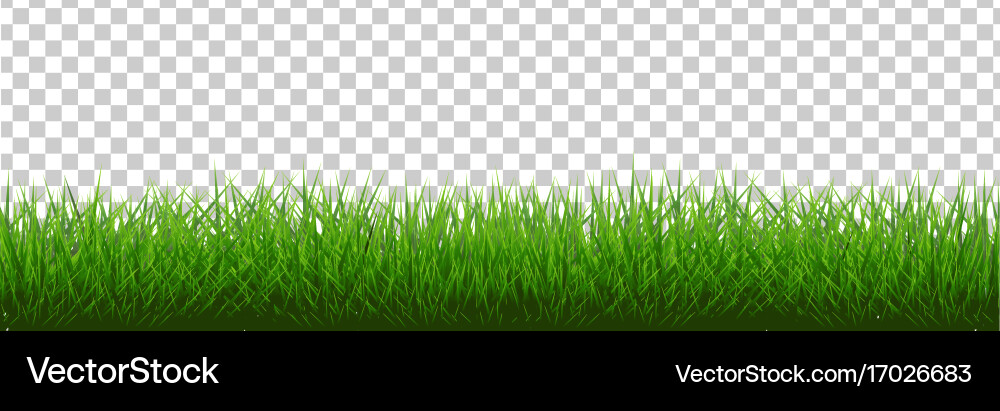 Grass border Royalty Free Vector Image - VectorStock