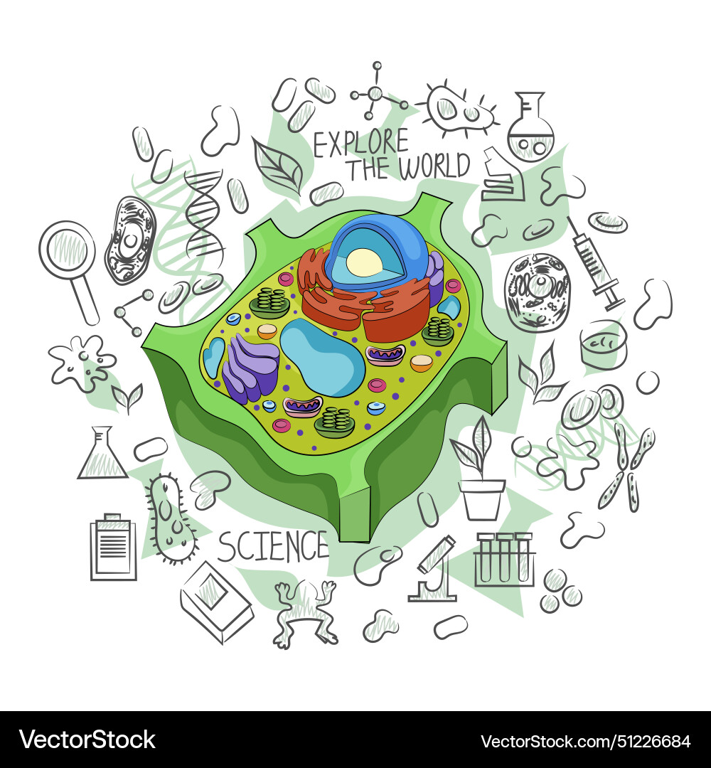 Hand-drawn science-themed Royalty Free Vector Image