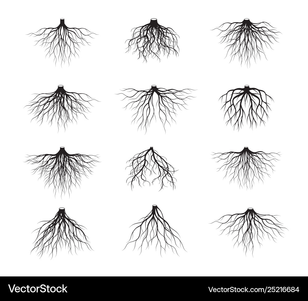 Set black tree roots Royalty Free Vector Image