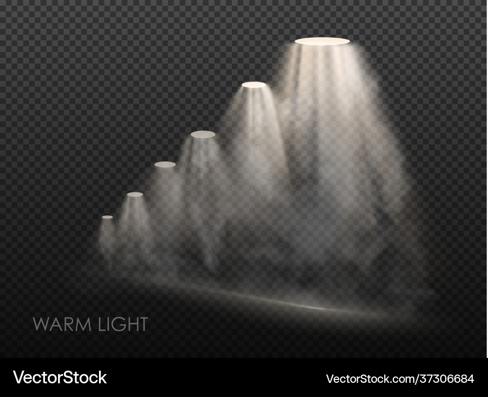 Warm light set bulb on a transparent background Vector Image