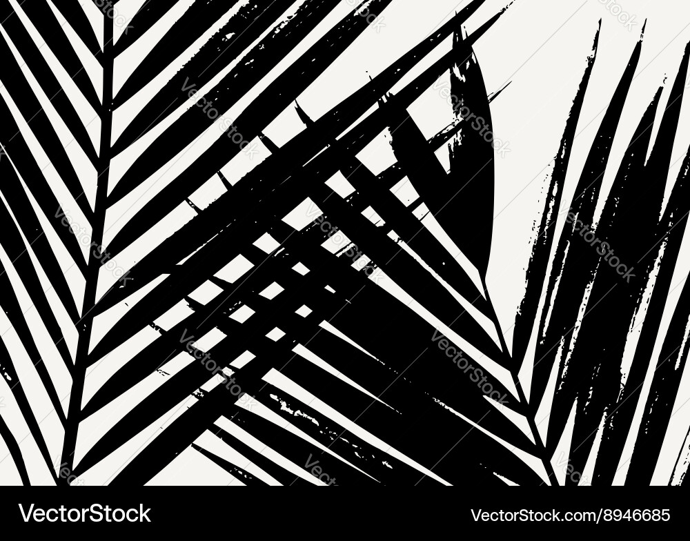Palm leaf poster design Royalty Free Vector Image